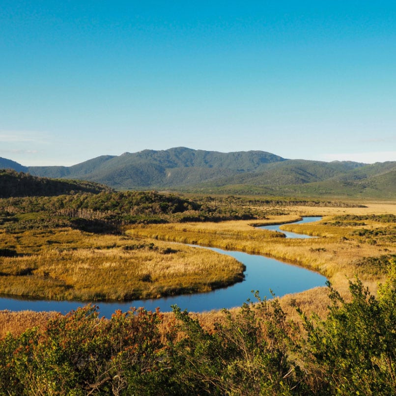 Resident Medical Officer (RMO) Recruitment Agency - Aussie Locums